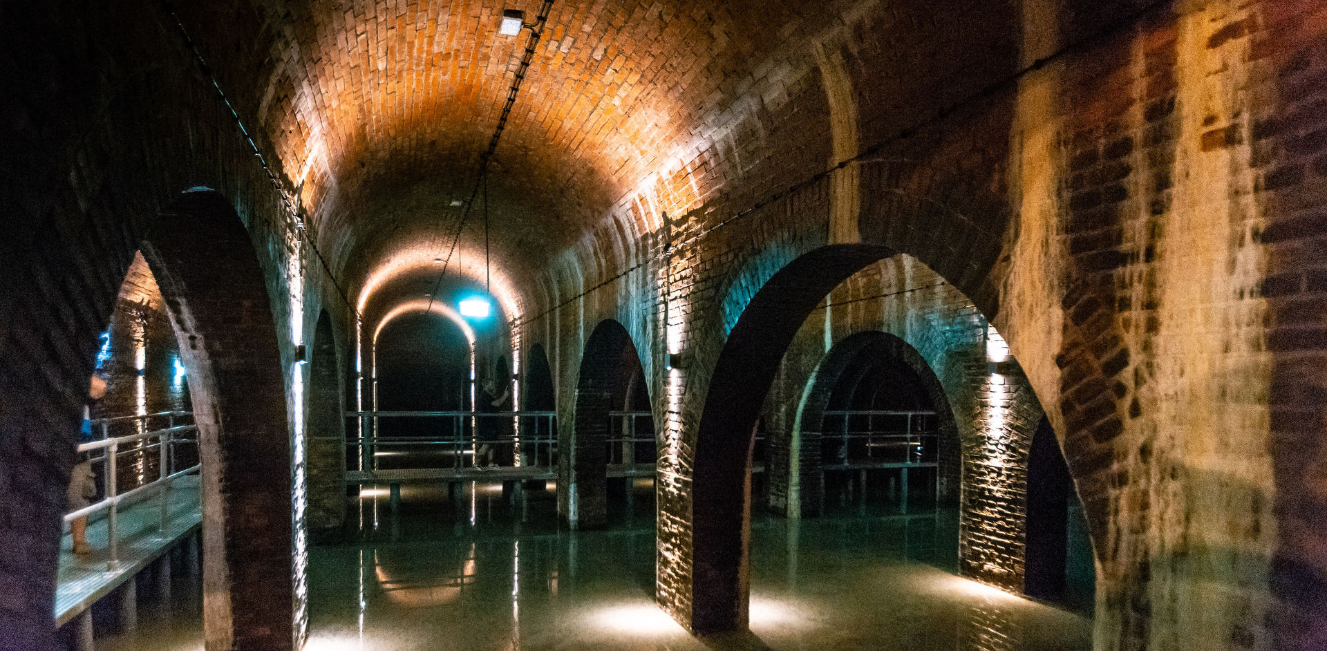 Zbiornik Wodny Stara Orunia to wyjątkowy obiekt. Największe siedlisko ...