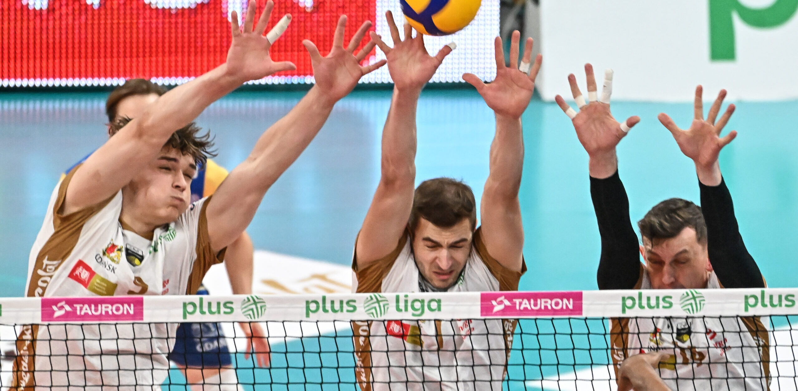 Znakomite zakończenie roku. Trefl Gdańsk w trzech setach pokonał Skrę ...