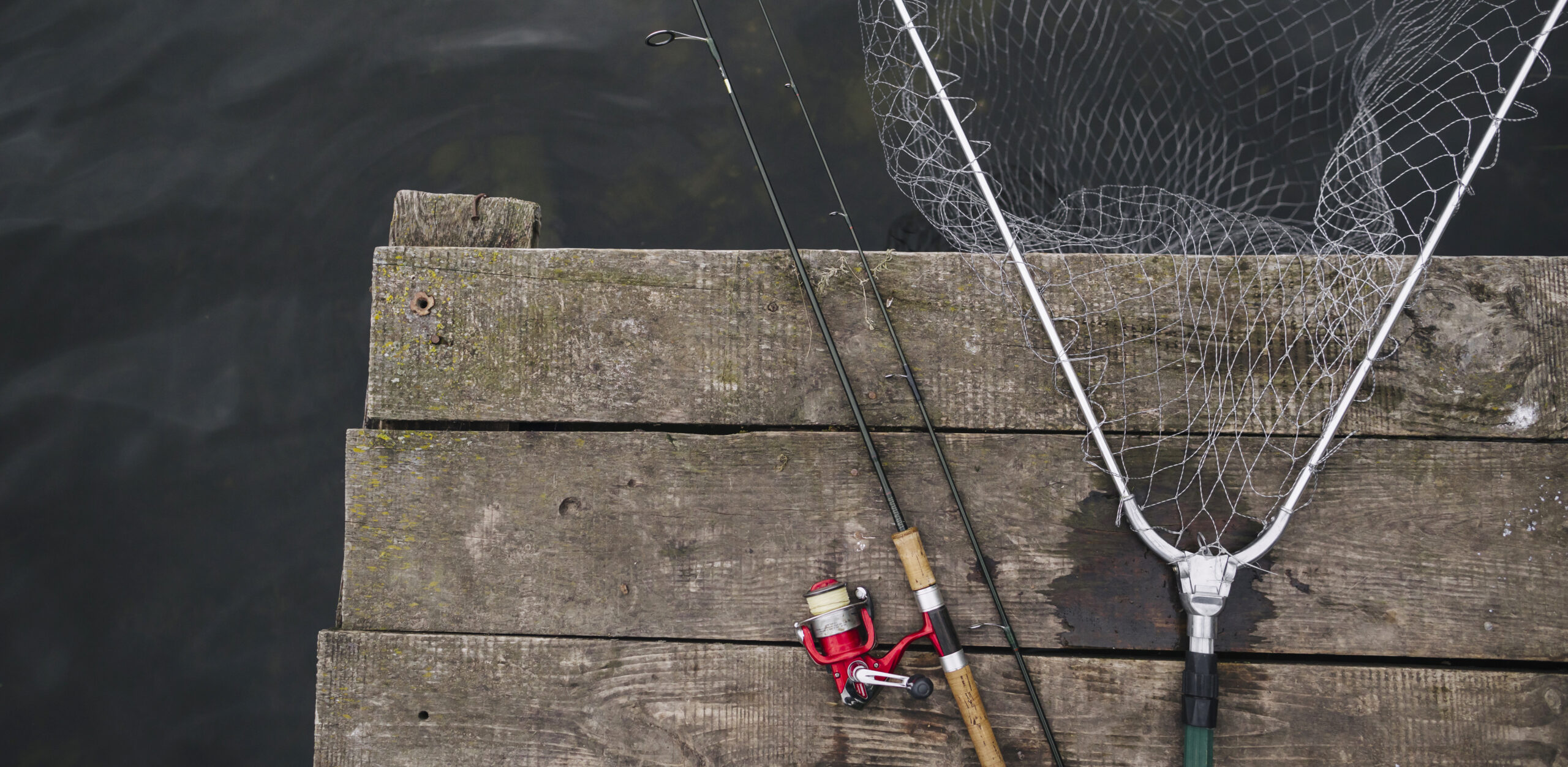 Zatrute ryby w Zalewie Wiślanym. Pięć osób trafiło do szpitala ...